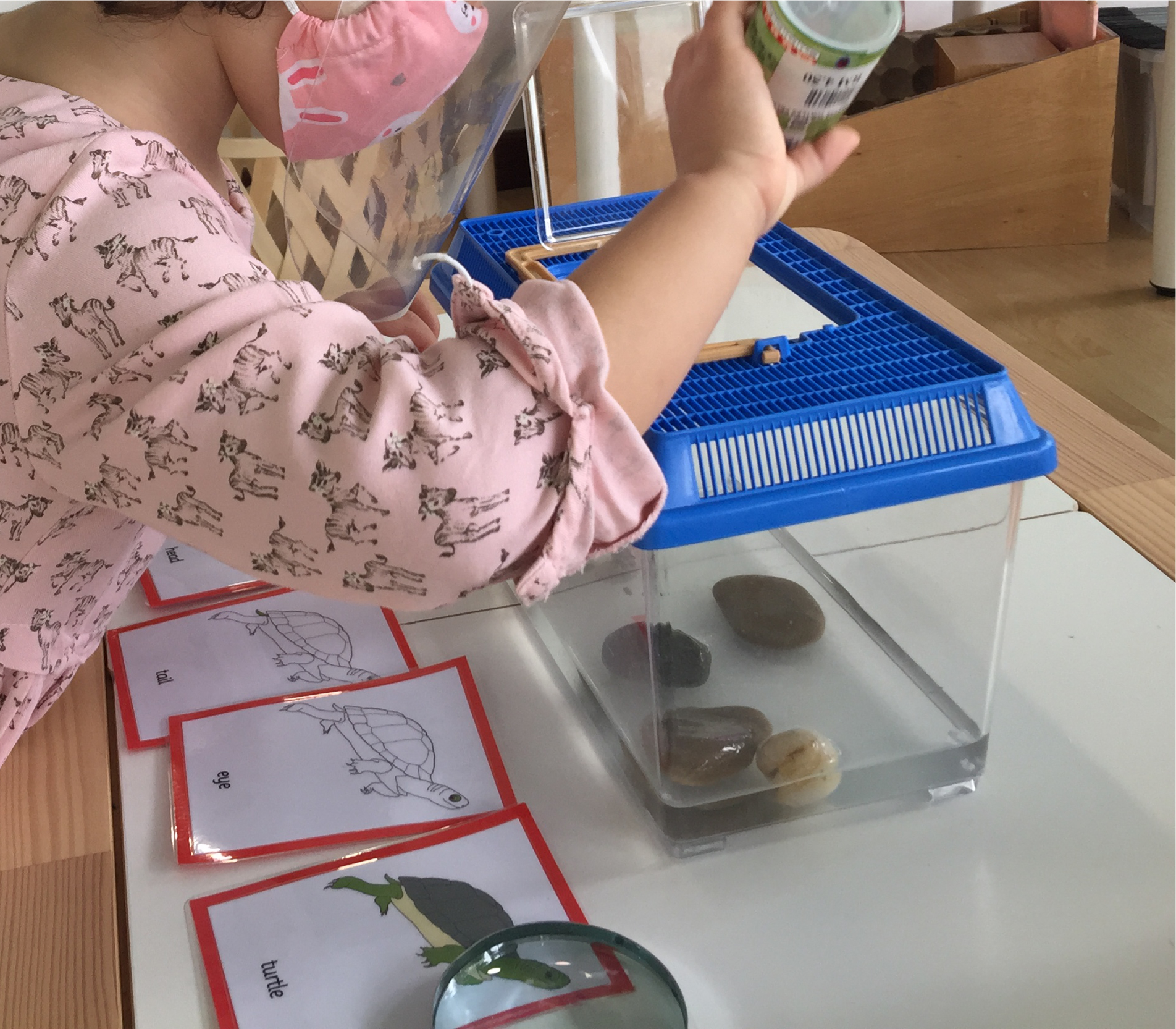 Kindity Kindergarten, Daycare in Sentul, Kuala Lumpur – Preschool ...